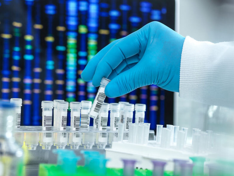 Change a Birth Certificate with a DNA Test (UK… | DNA Testing Clinics