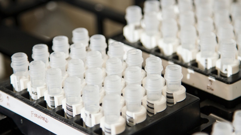 How does DNA testing work? | Crystal Health