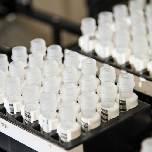 Next Working Day DNA Testing | Accredited UK Lab | Crystal Health